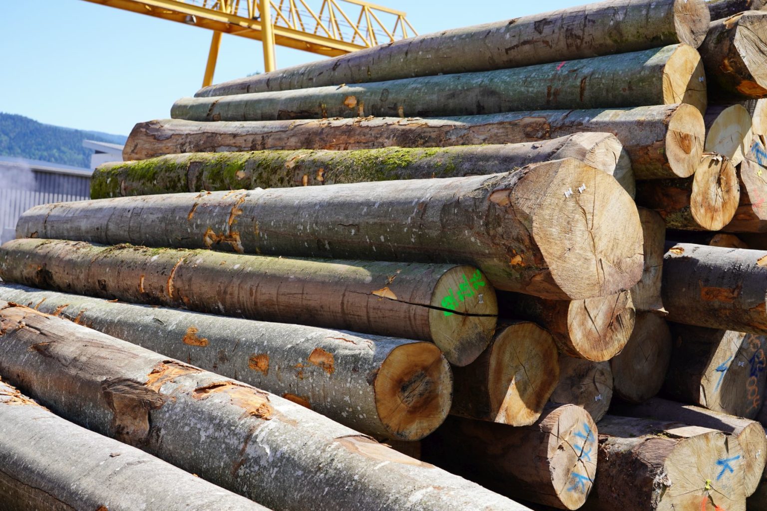 Furnier – Furnierwerk Bühl